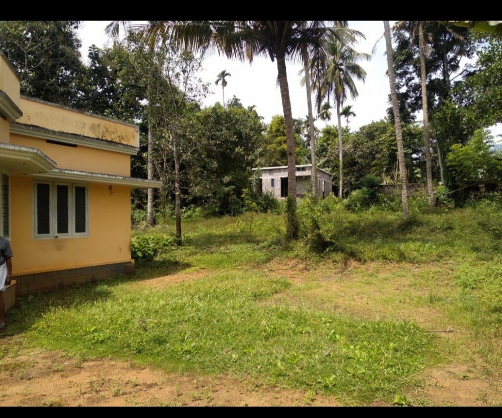 At chalakudy chawka 35 ct square land with 1200 sqft old house 260000 ...